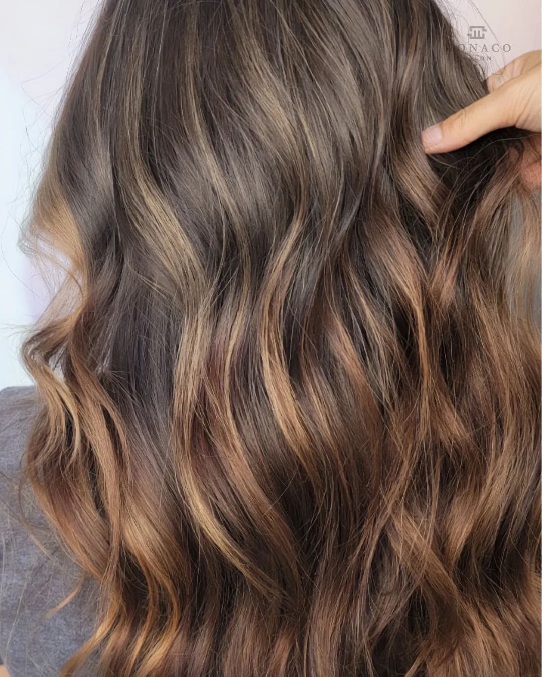 Hair color expertise at Monaco Salon in Tampa